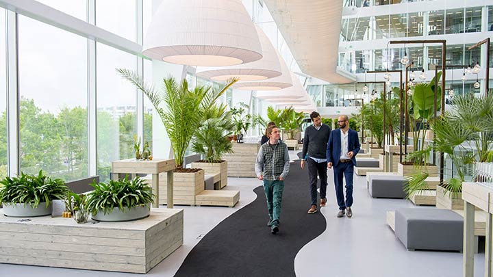 Bio-adaptive lighting | Interact Office